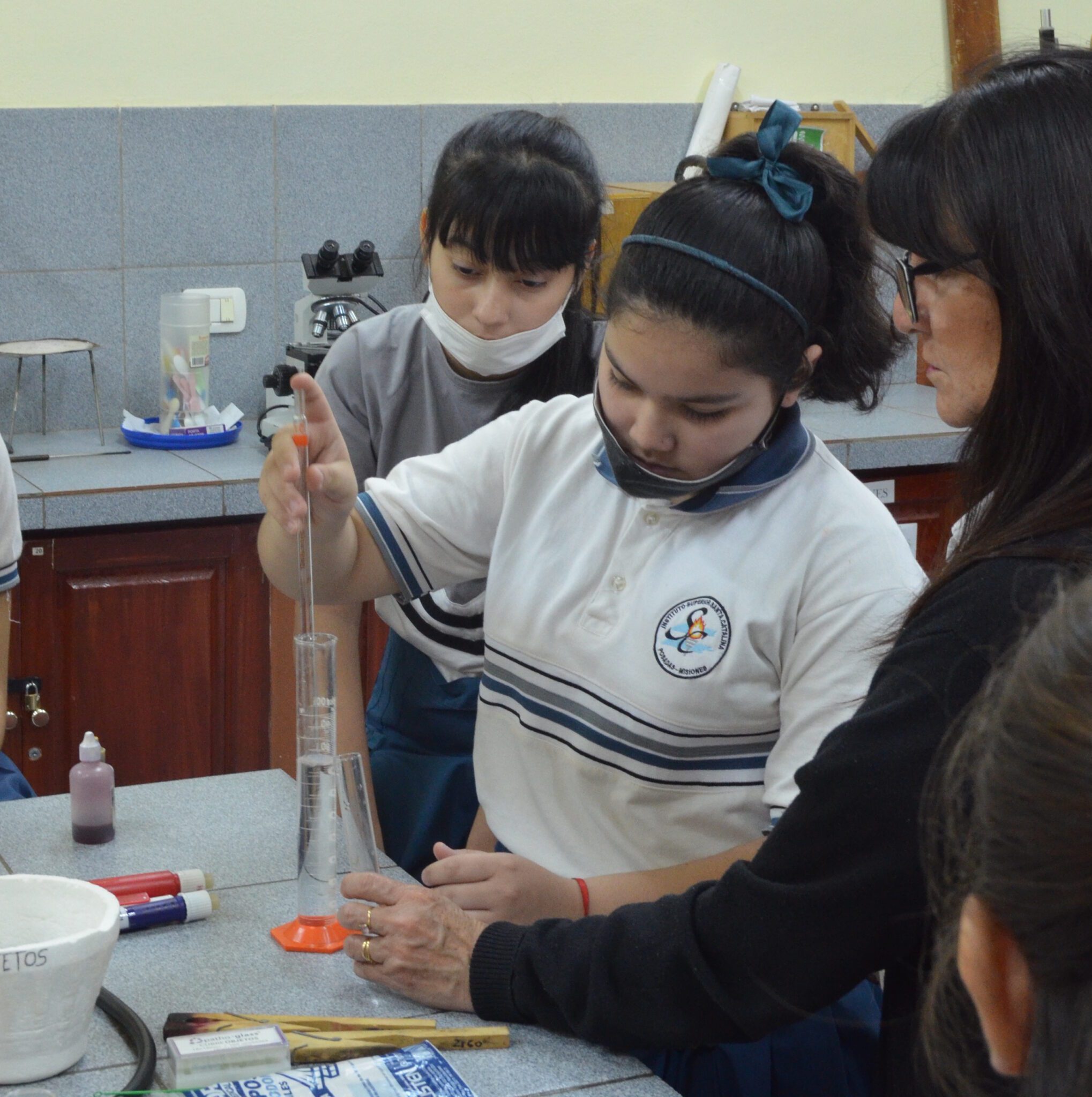 Articulación Nivel Primario/Nivel Secundario - ISSC