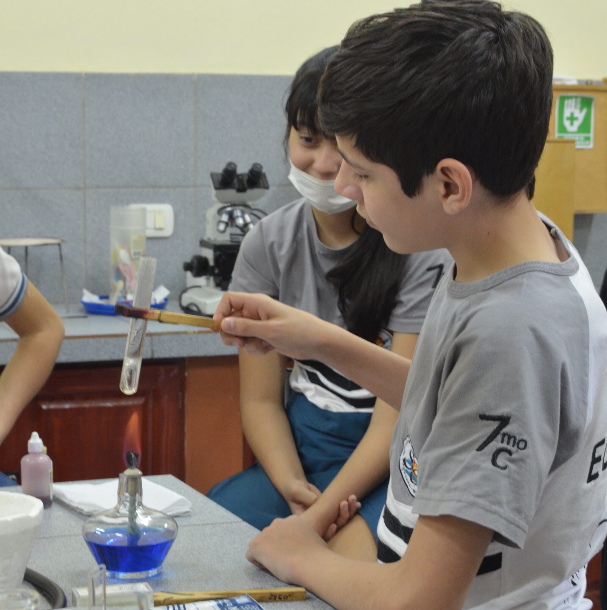 Articulación Nivel Primario/Nivel Secundario - ISSC